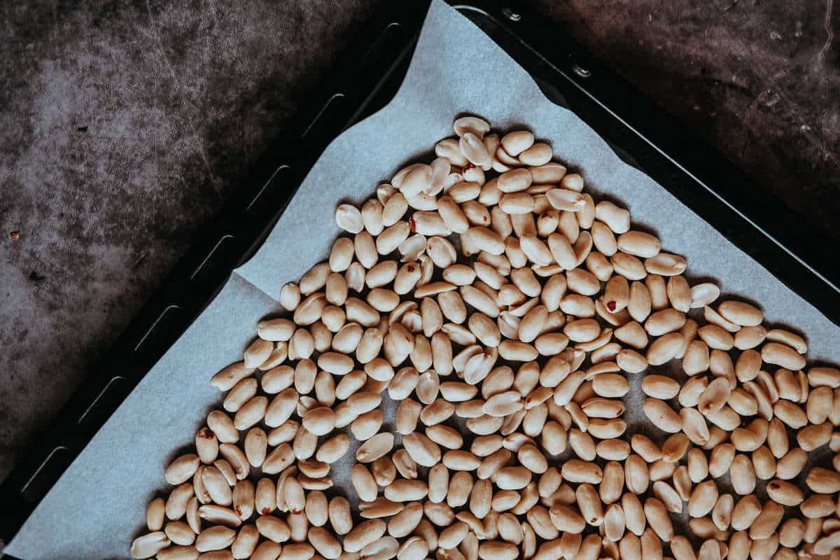 Arašídy – vše, co o nich potřebujete vědět | Ochutnej Ořech