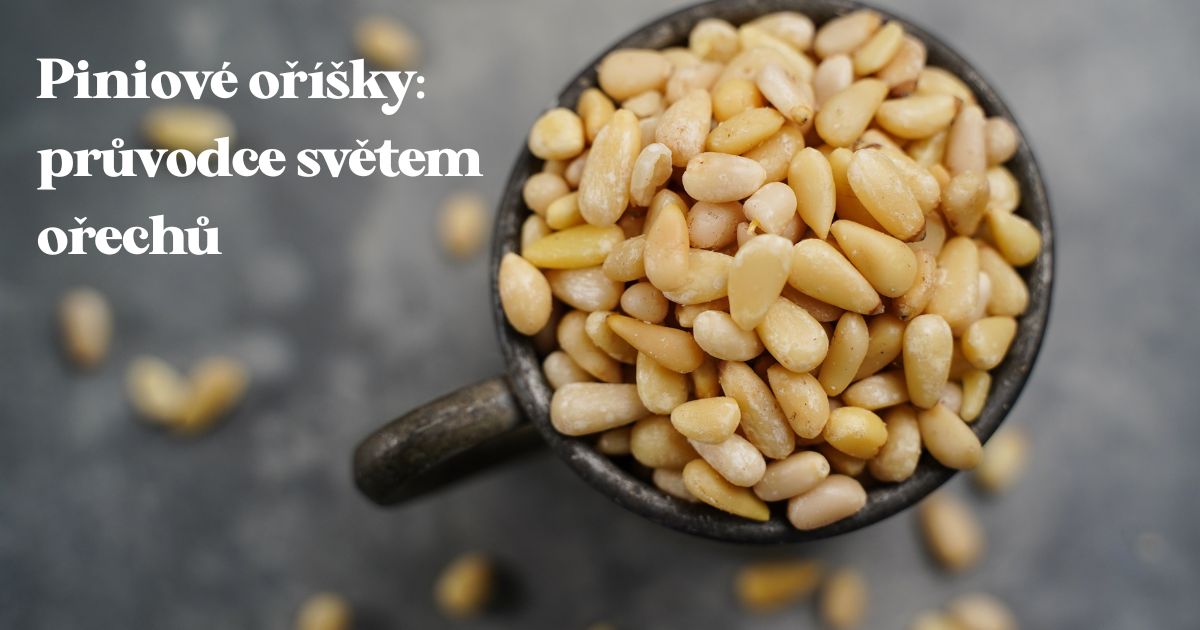 Piniové ořechy: průvodce světem ořechů | Ochutnej ořech