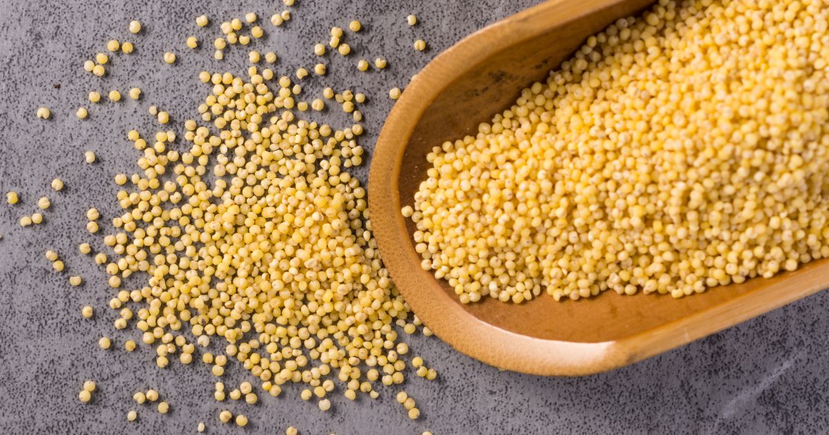 Jáhelník: Recept na zdravý jáhelný nákyp | Ochutnej Ořech